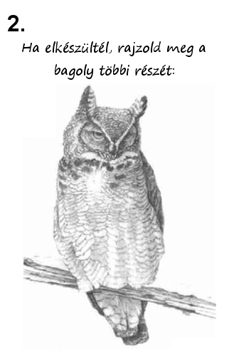 Csupa Jó Dolog: Bagoly rajzolás lépésről lépésre