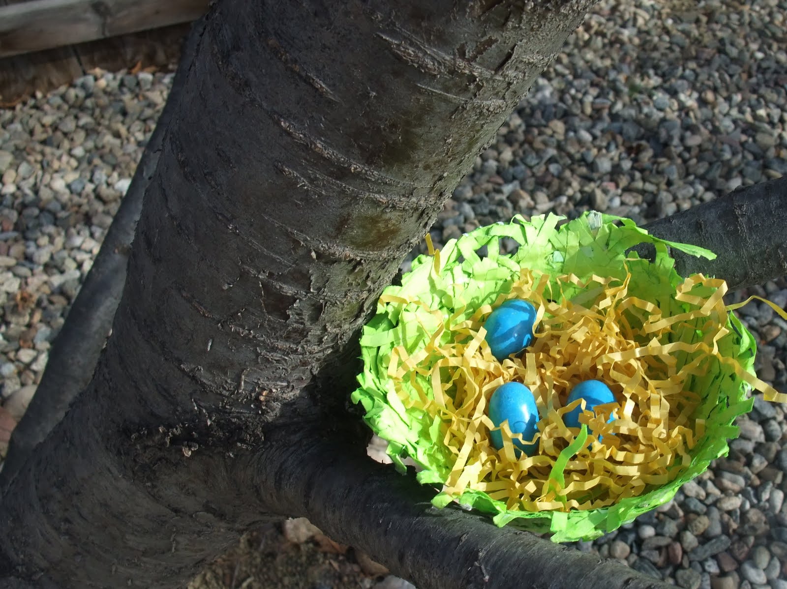 Just Another Hang Up: Shredded Paper Nests