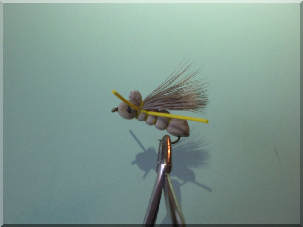 Dustin's Fly Box: Charlie Boy Hopper - By Charlie Craven