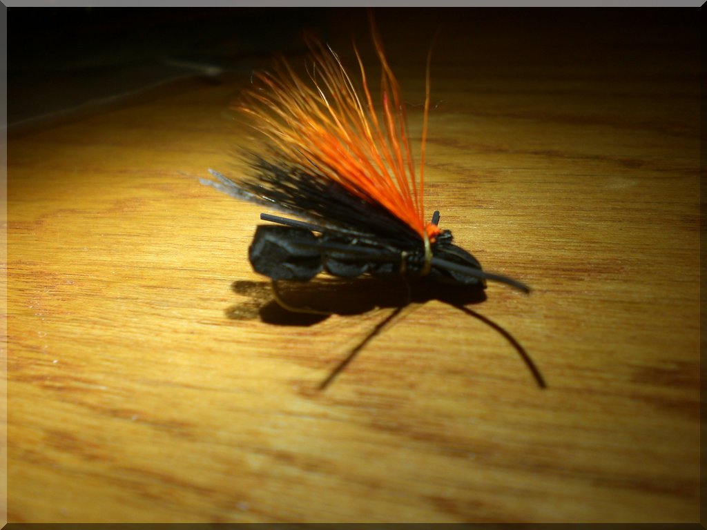 Dustin's Fly Box: Charlie Boy Hopper - By Charlie Craven