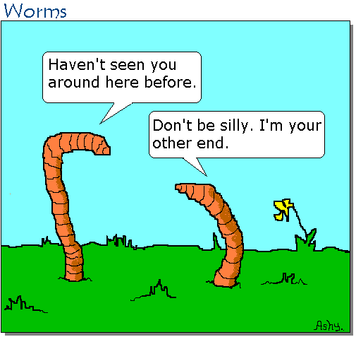 McCafferty's Pub: More About The Worm Song
