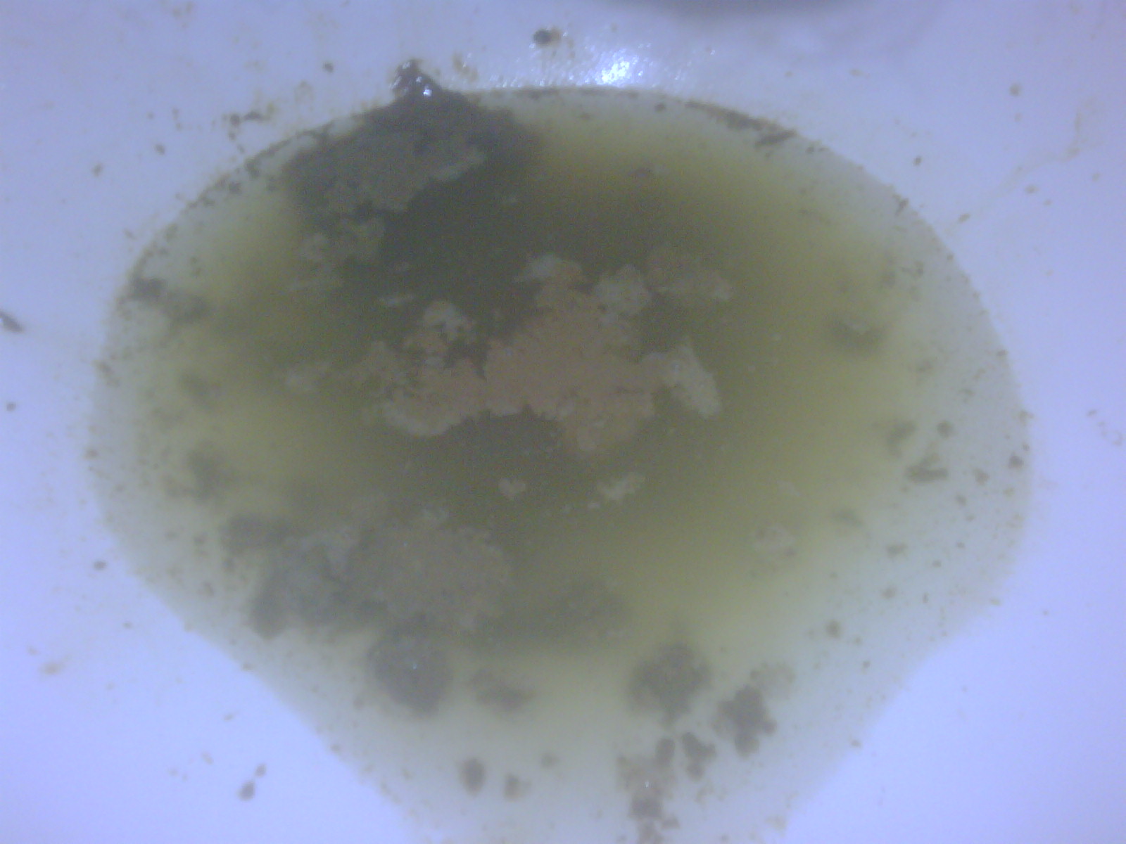 Fotos de Caca / Shit Pictures