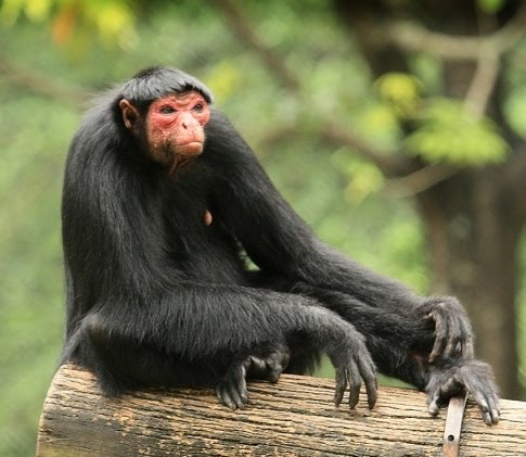 B a s b l o g •: Kwatta