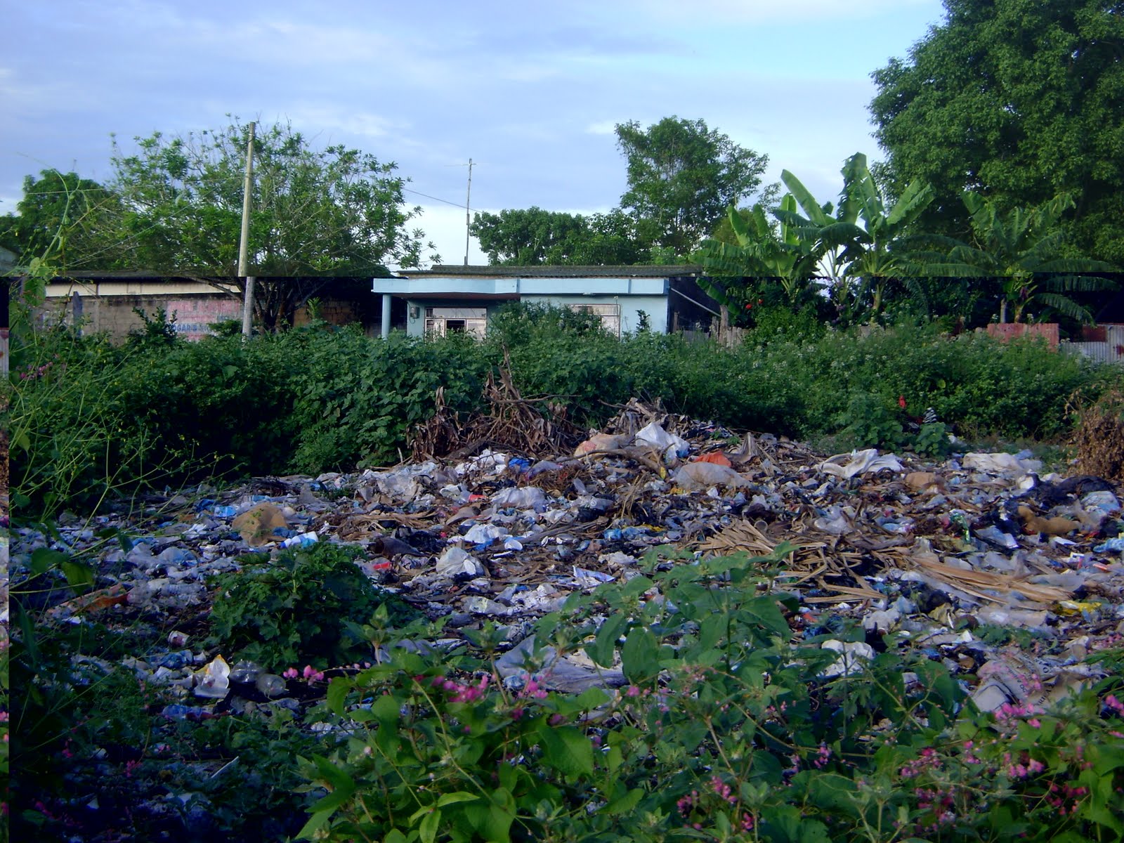SAN ONOFRE Y LOS DESECHOS