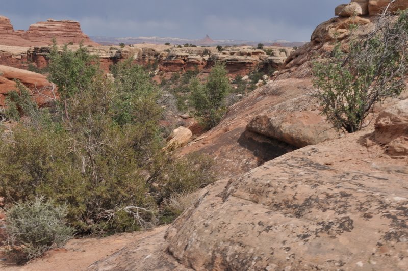 GO WEST WITH VIC AND PAULA: Moab Day #12 - Elephant Hill
