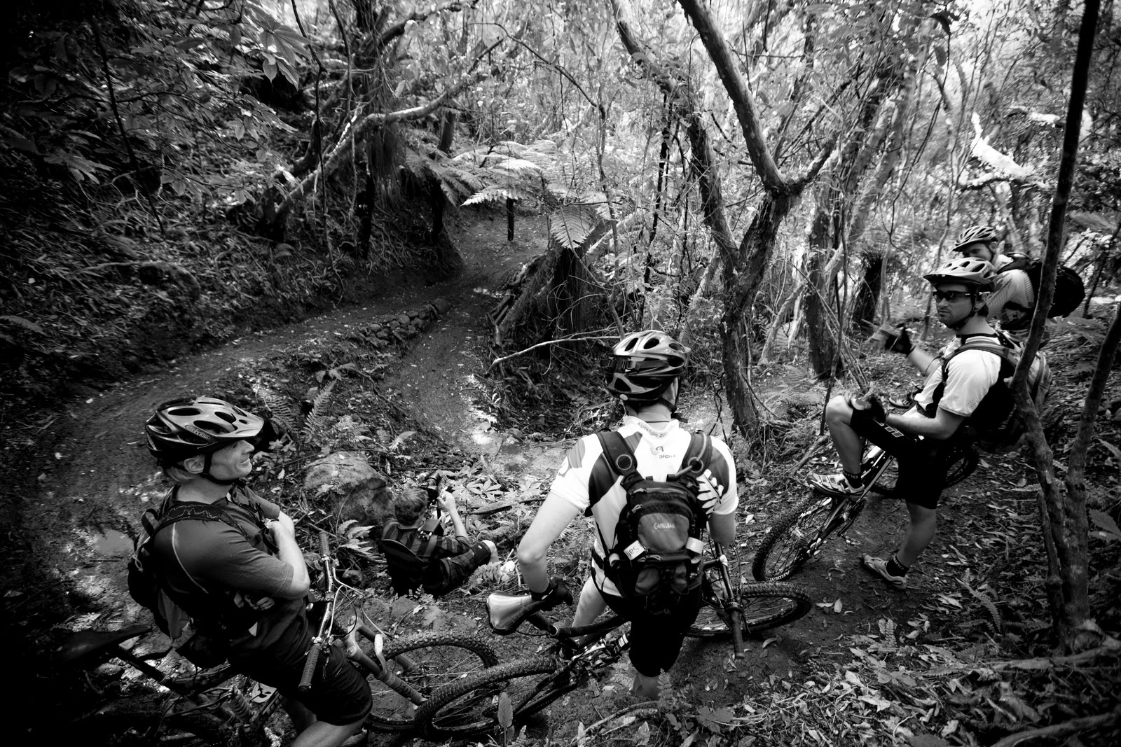 AMB: Nichols Creek, Dunedin. The full story from the man, Hamish Seaton ...