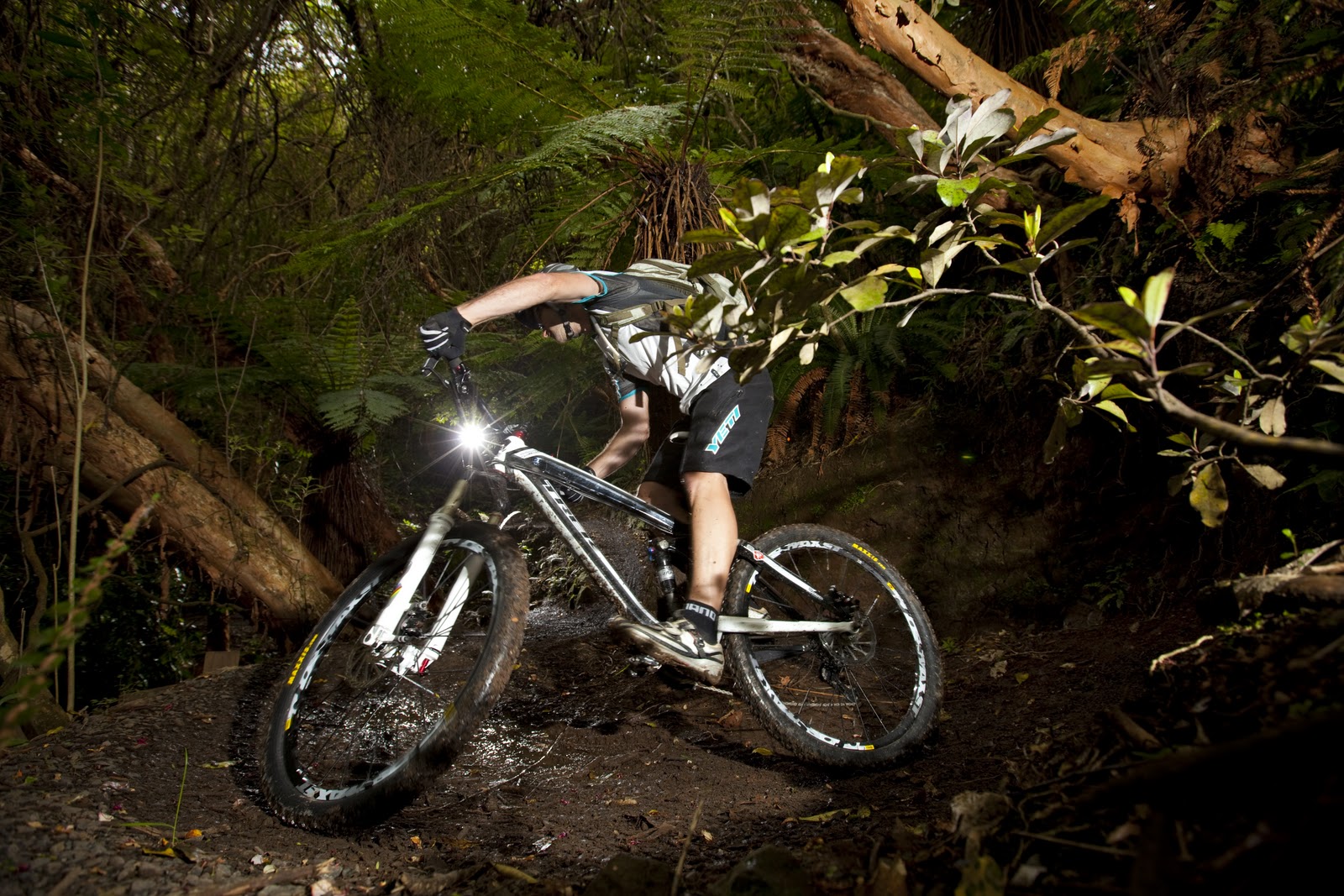 AMB: Nichols Creek, Dunedin. The full story from the man, Hamish Seaton ...