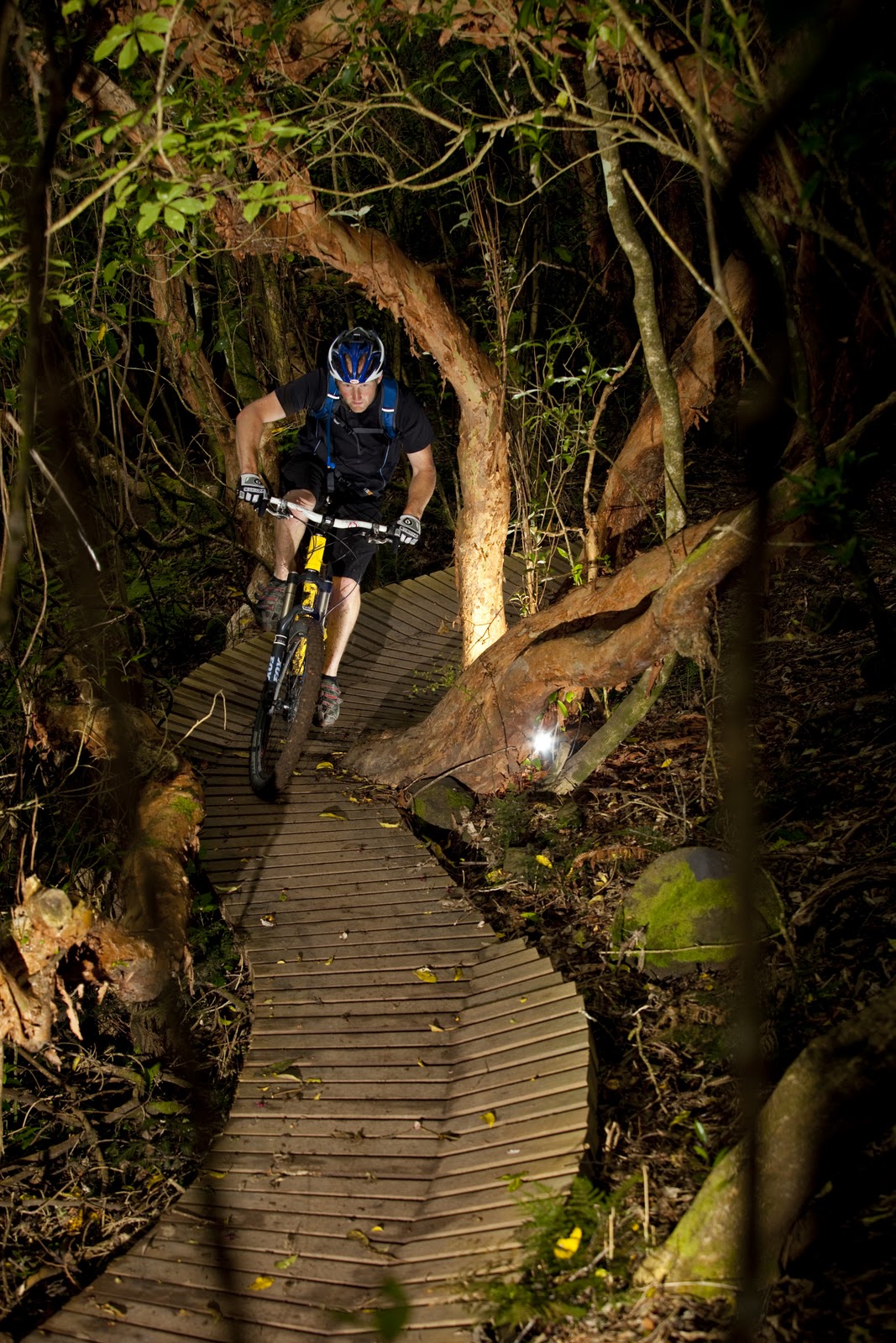 AMB: Nichols Creek, Dunedin. The full story from the man, Hamish Seaton ...