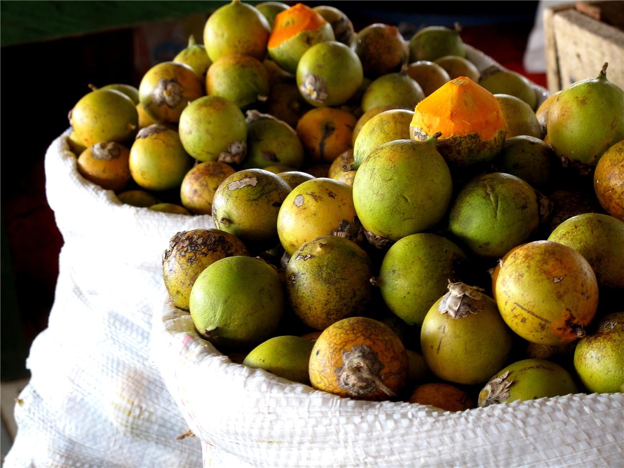 ''Por uma gastronomia Amazônica": Risoto de tucumã X Tuma XIII - Icif