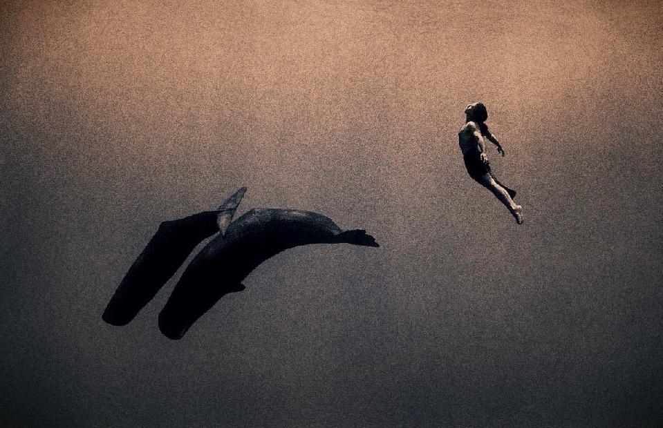 creation: Gregory Colbert