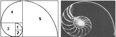 Diseño Básico: Sección Áurea