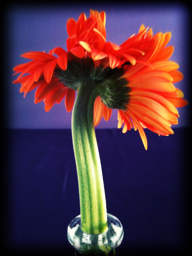 Photo-per-Diem-A Photography Blog: November 2010