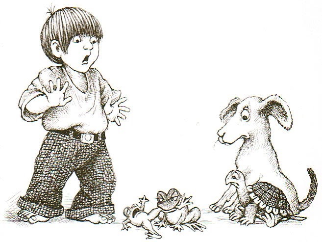 Vintage Kids' Books My Kid Loves: One Frog Too Many