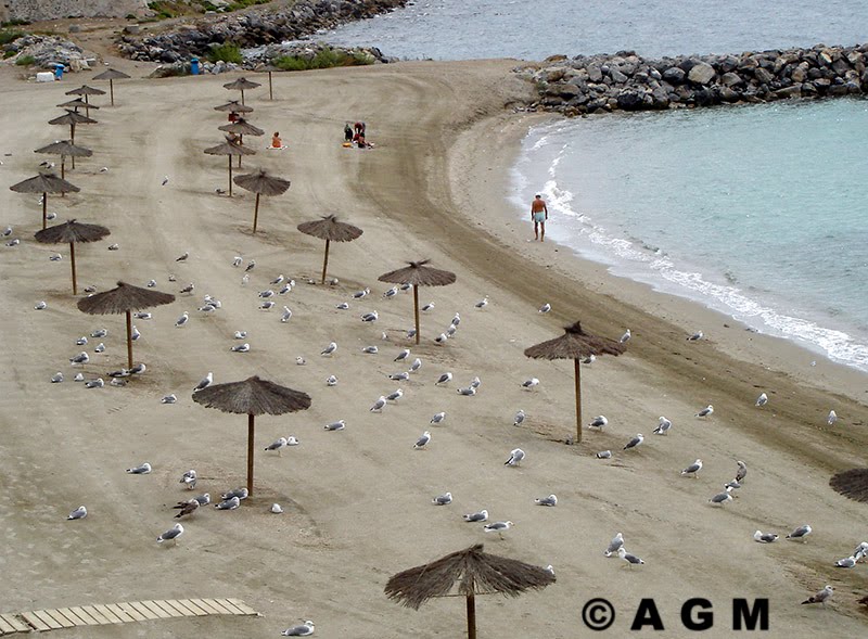 ALEX - FOTOGRAFIAS: Playa de la Ribera (Ceuta)