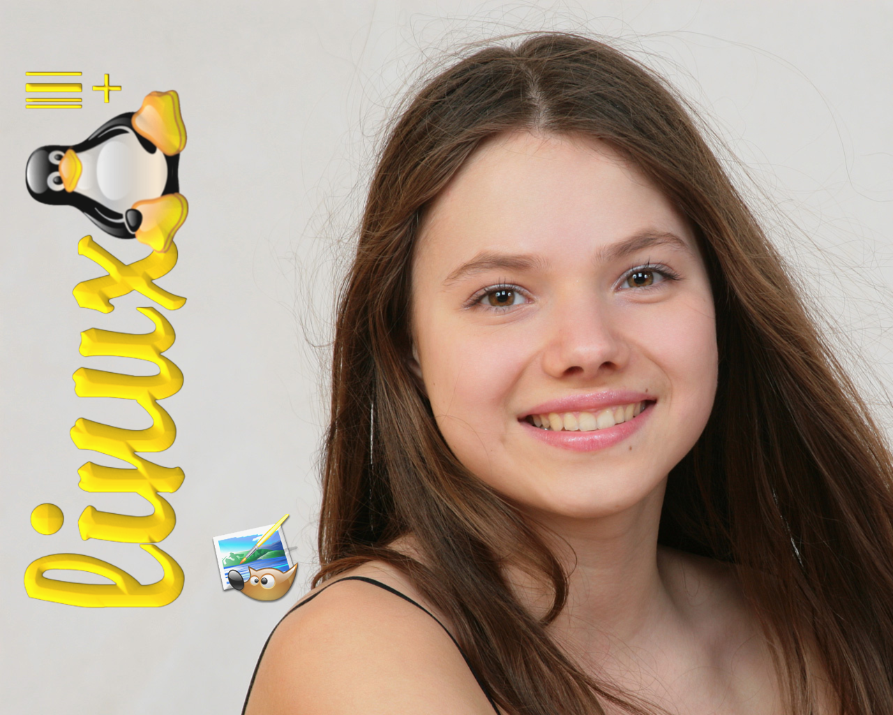 Sandra Model papel de parede-Gimp-Tux (image)