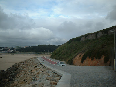pimenta negra: O refúgio ornitológico do estuário do rio Douro ( vulgo ...