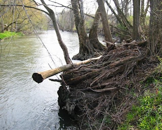 House of Fallen Timbers: Welcome to the House of Fallen Timbers