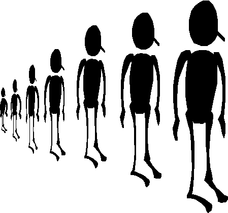 5S's de la Calidad + 4S's de Apoyo: 4S's: Shikari, Shitsukoku, Seishoo ...