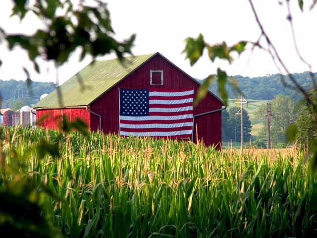 The Pattern Basket: Happy 4th of July Weekend!!