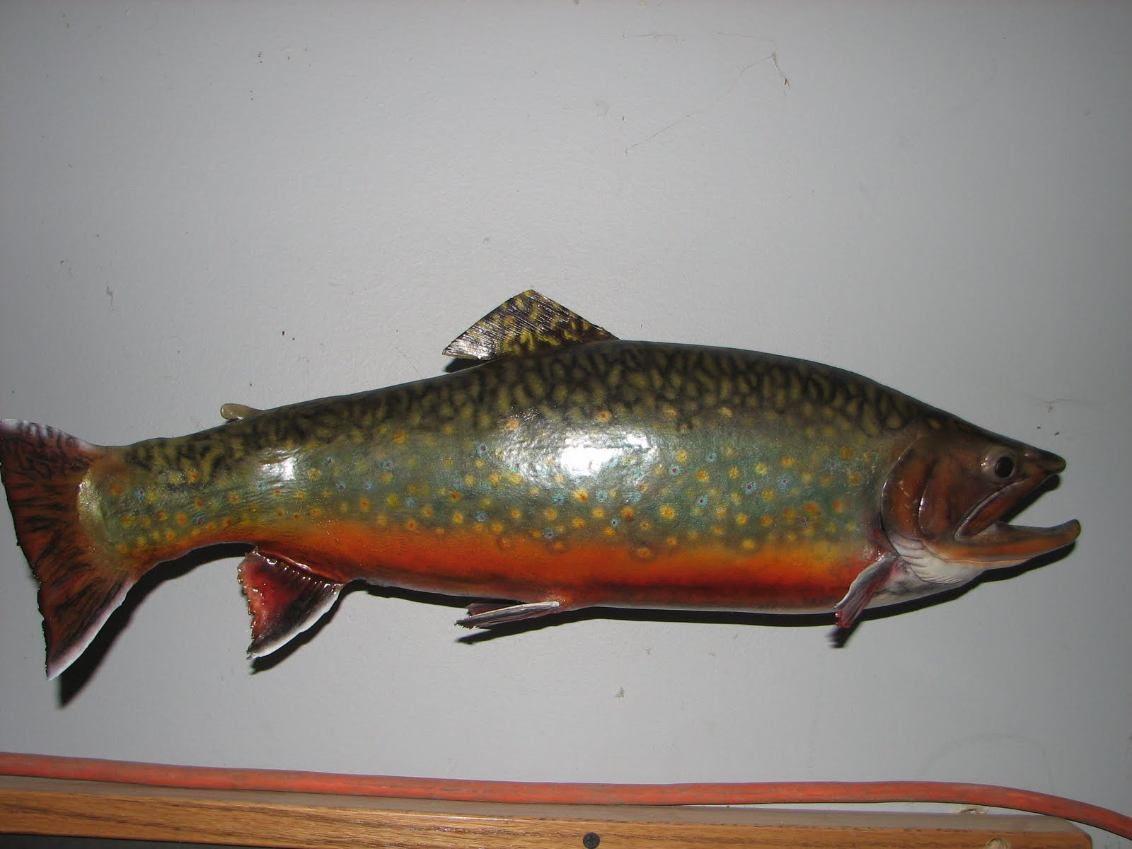 All Seasons Taxidermy: Brook Trout Skin Mount