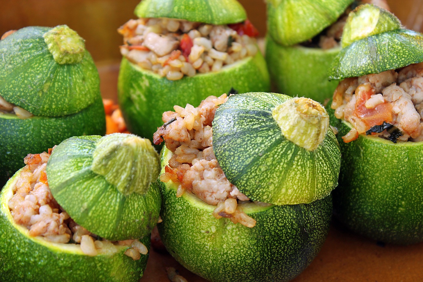 There's a Newf in My Soup!: Coronado Concerts in the Park and a Taste ...