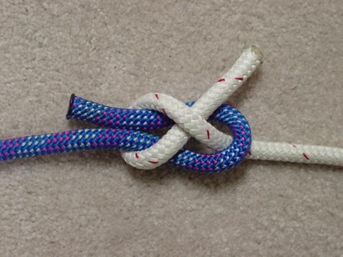 Colour of Life: Knotting and Camping