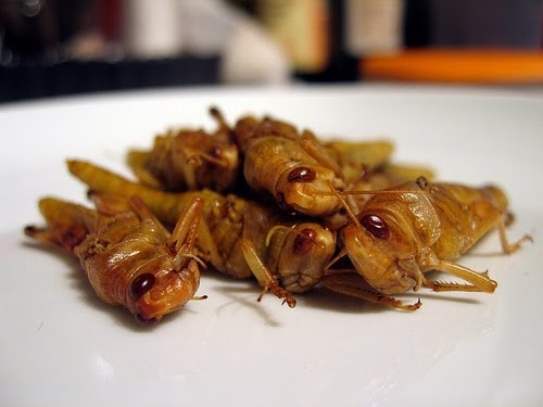 Jewish Humor Central: A Kosher Feast In Jerusalem: Udder Of Cow ...