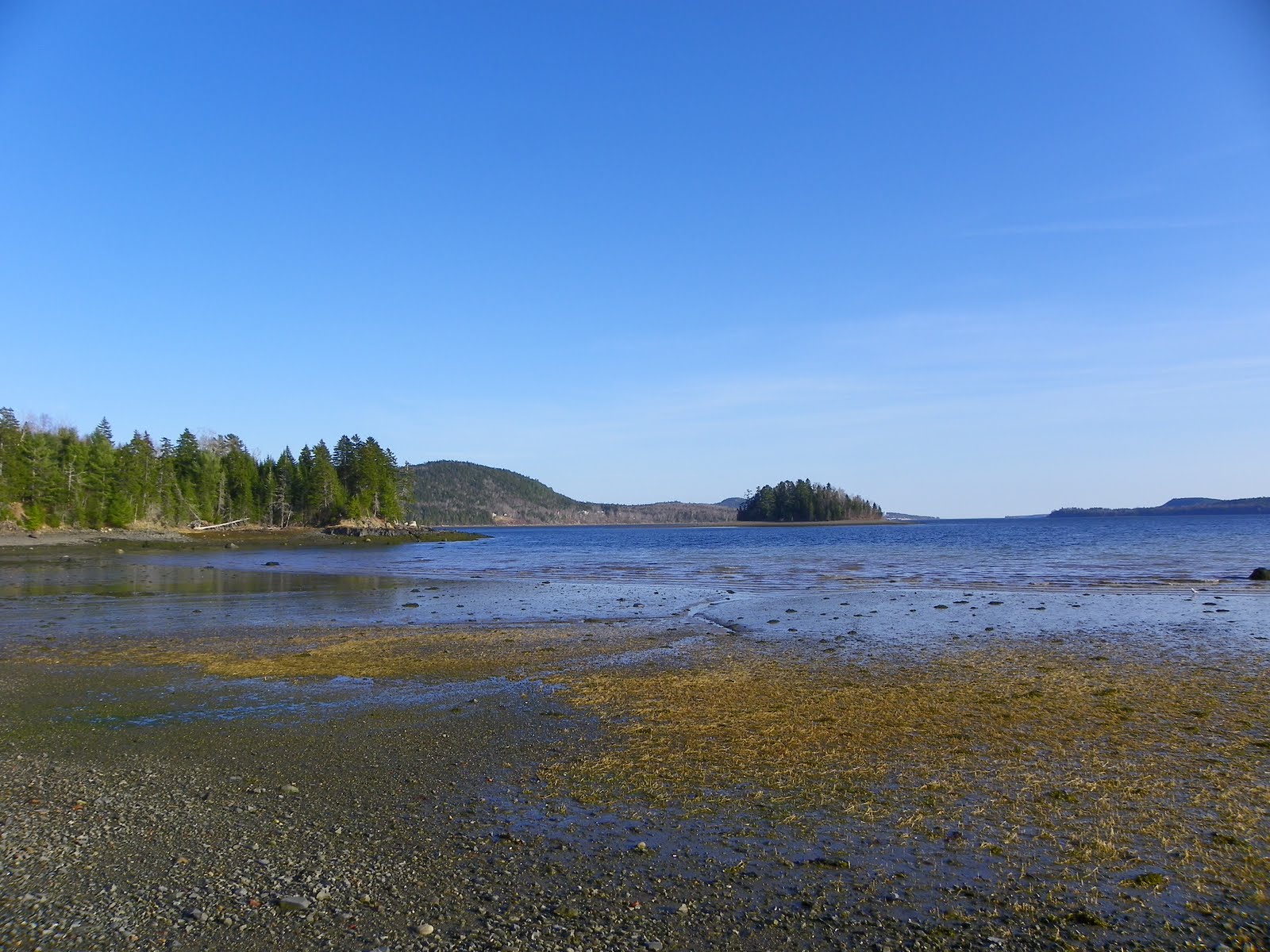 The Adventures of Joshua and Tilley: Spoon Island Evening Hike, Part 3 ...
