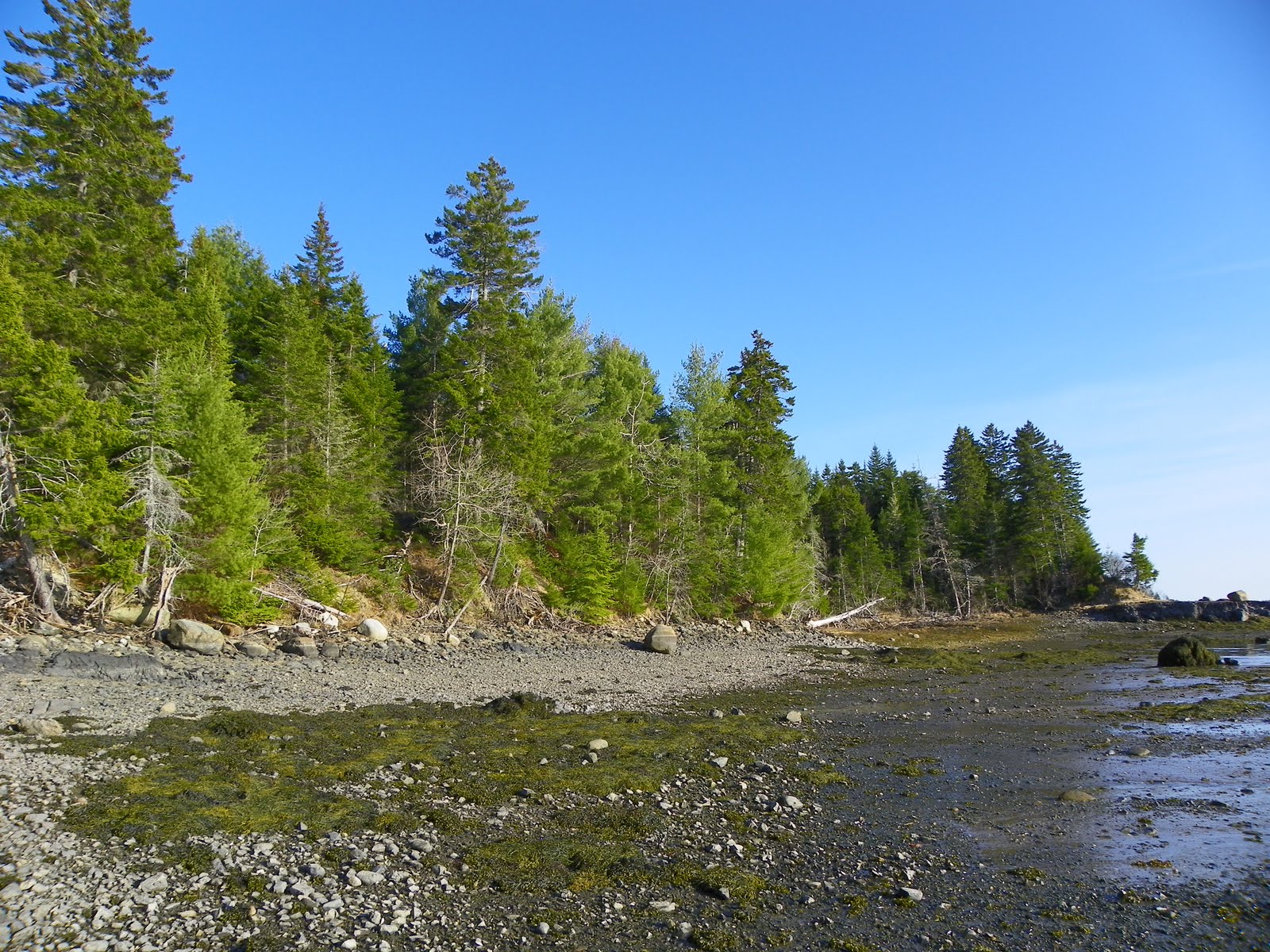 The Adventures of Joshua and Tilley: Spoon Island Evening Hike, Part 3 ...