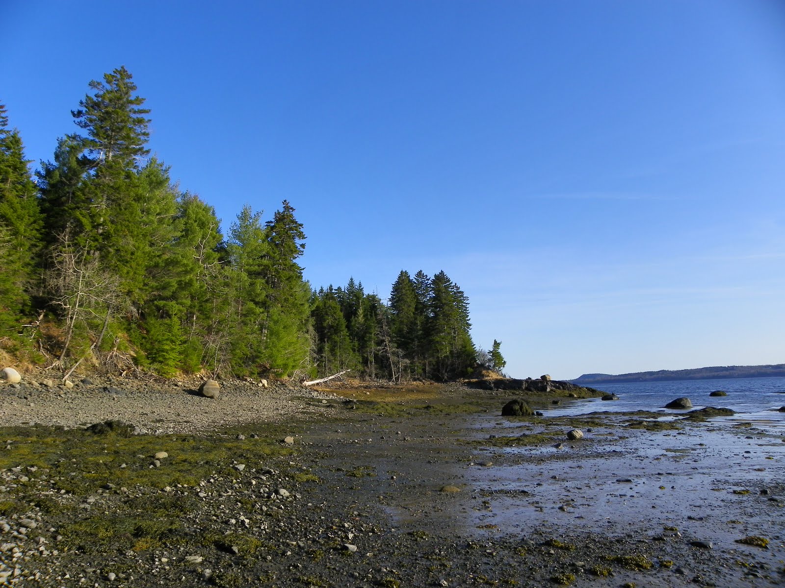 The Adventures of Joshua and Tilley: Spoon Island Evening Hike, Part 3 ...