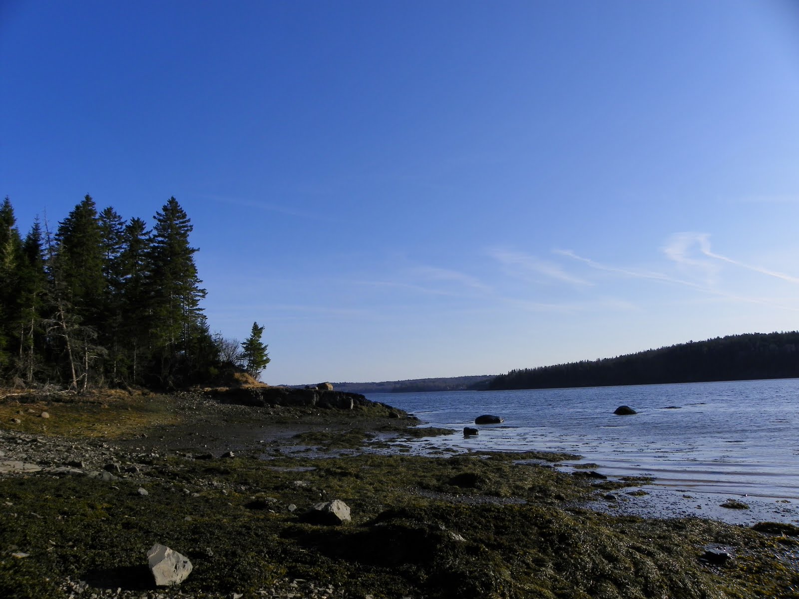 The Adventures of Joshua and Tilley: Spoon Island Evening Hike, Part 3 ...