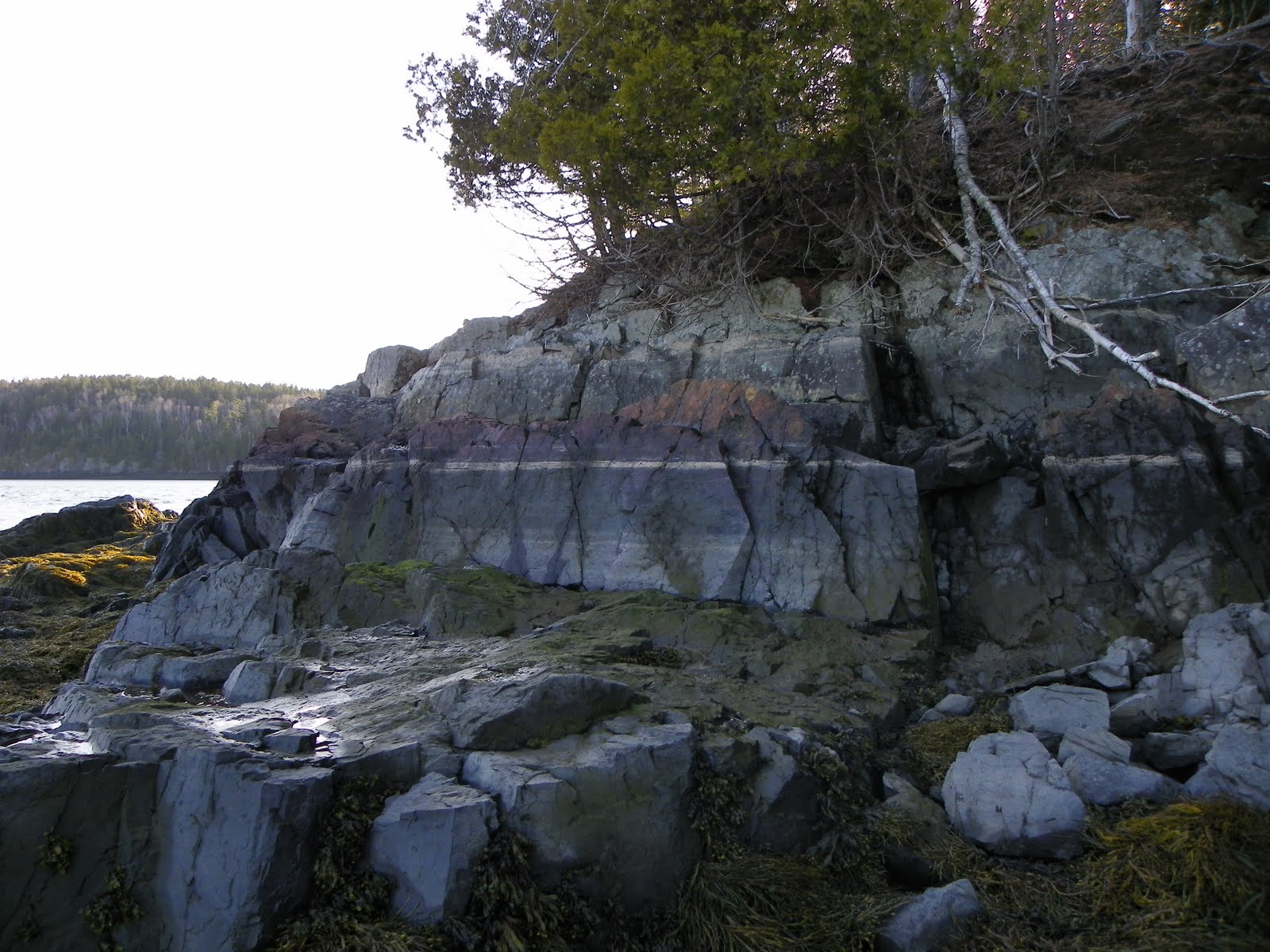 The Adventures of Joshua and Tilley: Spoon Island Evening Hike, Part 4 ...