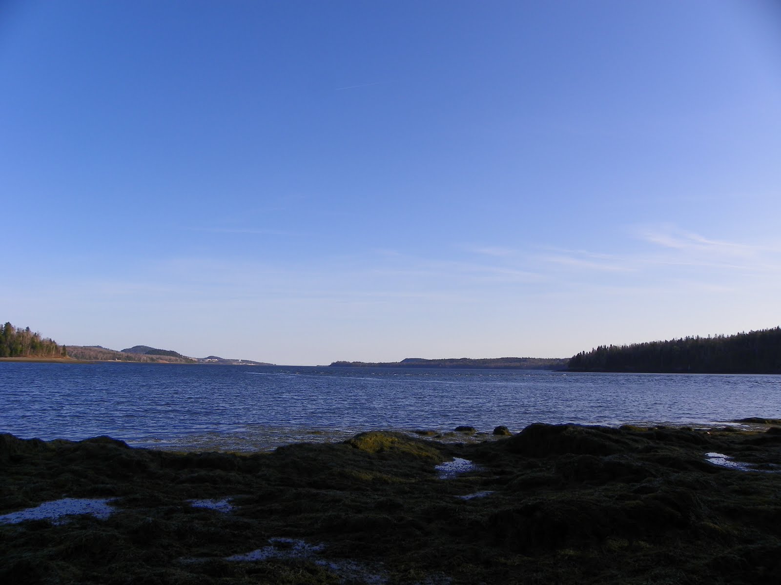 The Adventures of Joshua and Tilley: Spoon Island Evening Hike, Part 4 ...