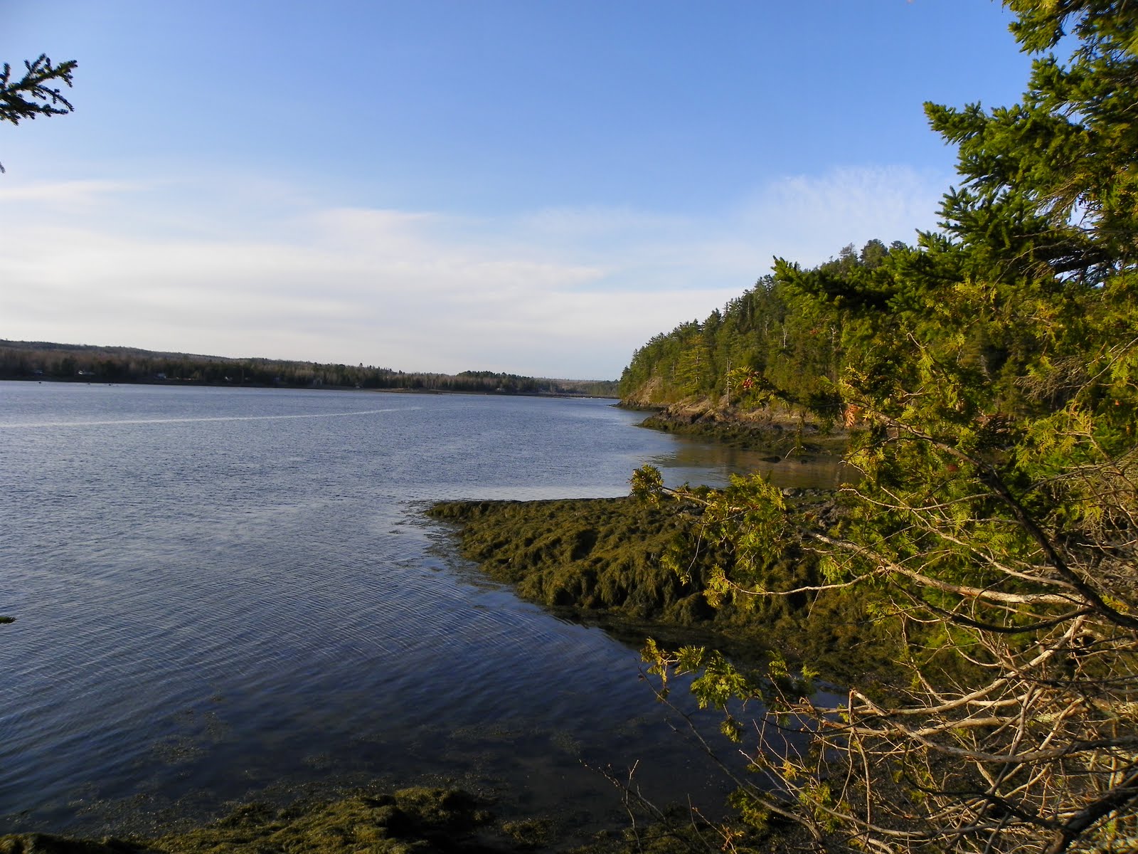 The Adventures of Joshua and Tilley: Spoon Island Evening Hike, Part 4 ...