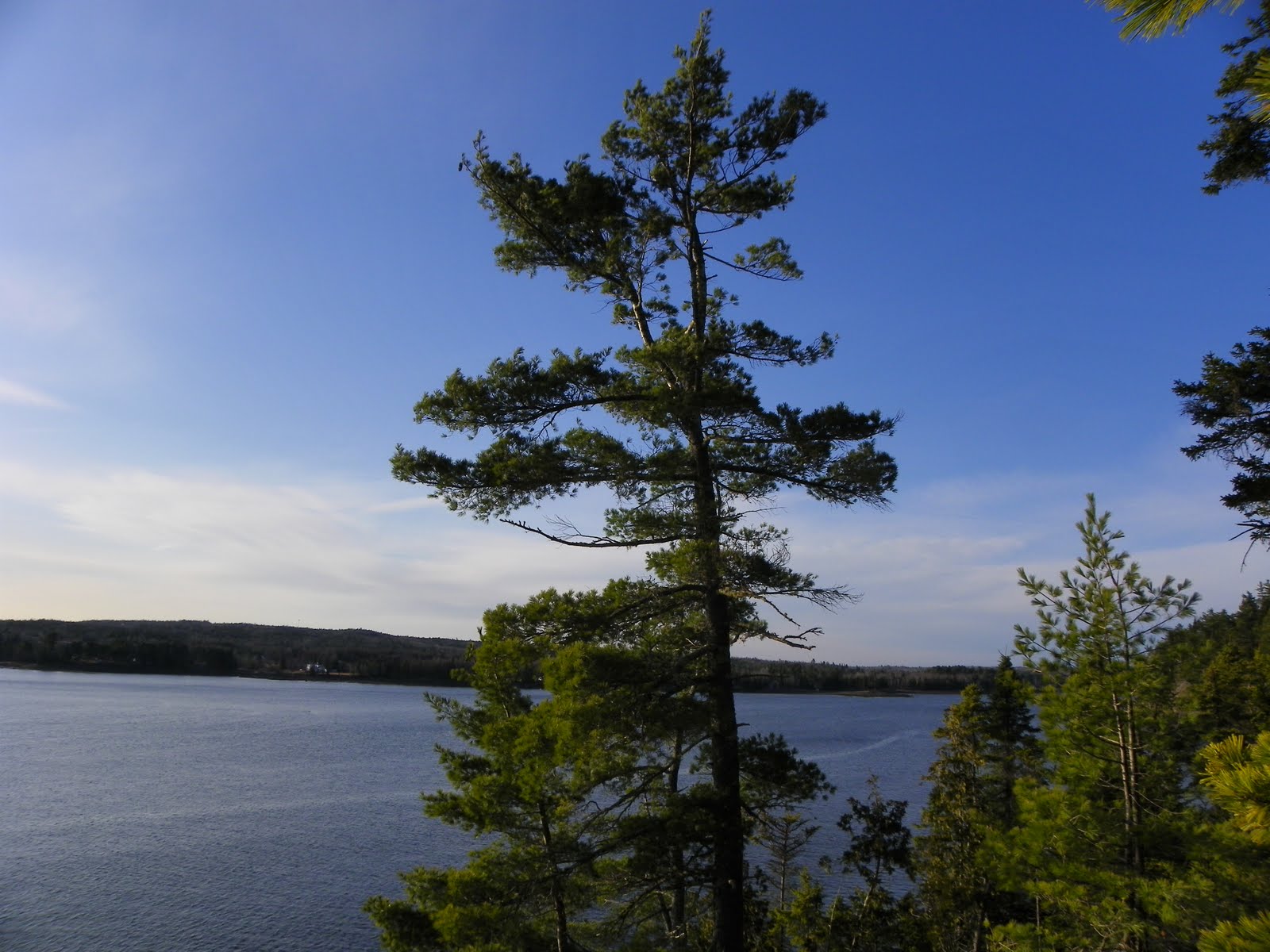 The Adventures of Joshua and Tilley: Spoon Island Evening Hike, Part 4 ...