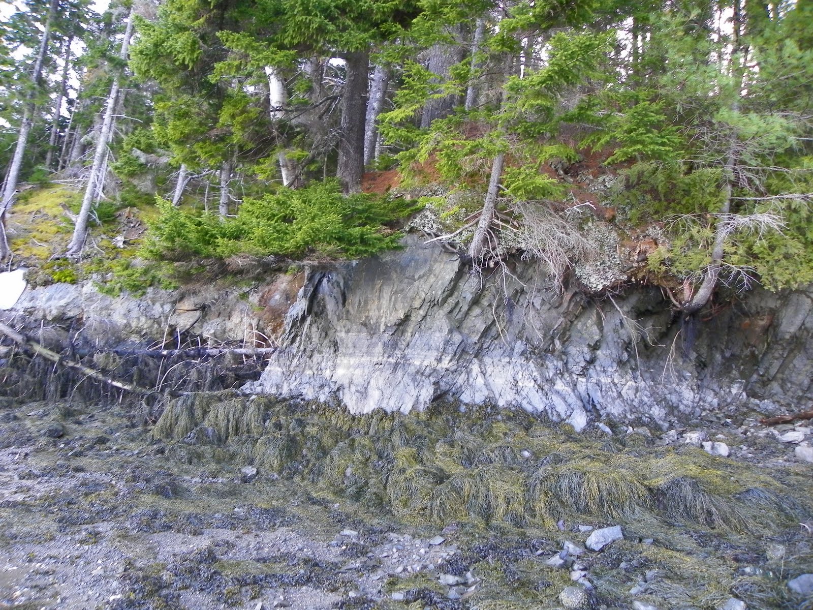 The Adventures of Joshua and Tilley: Spoon Island Evening Hike, Part 4 ...