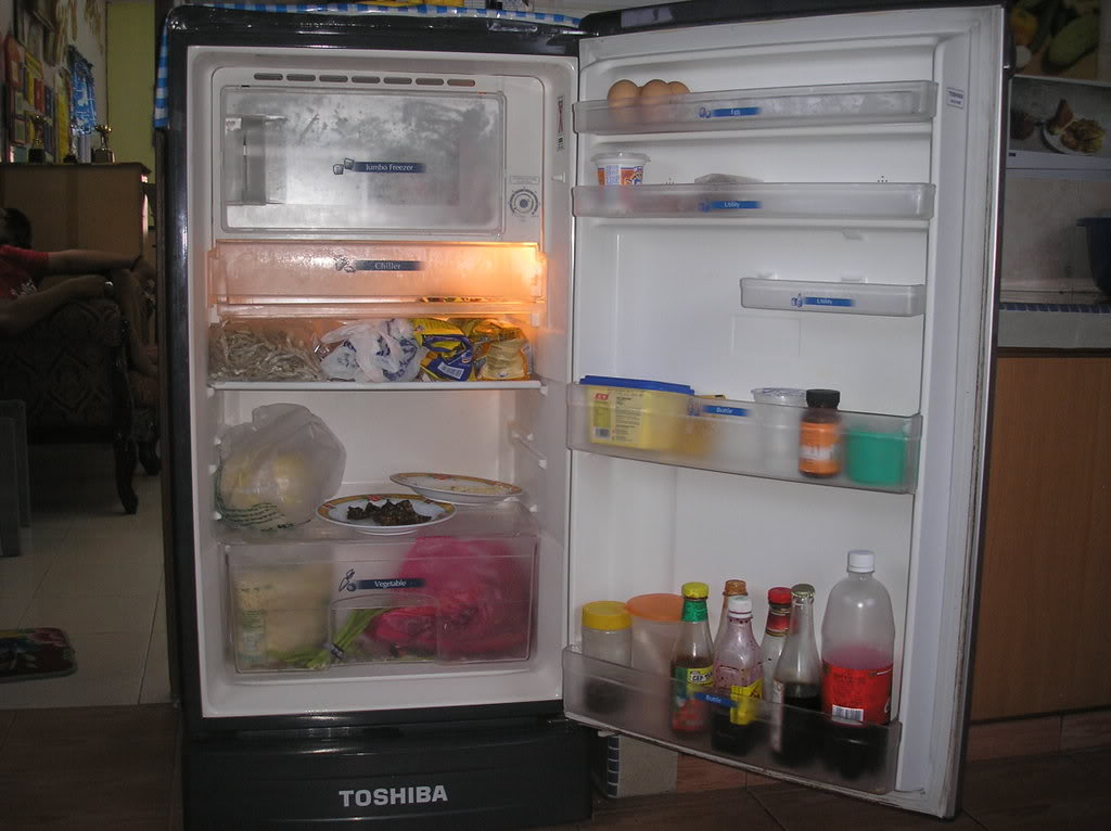 CoReTaN QaLaMkU: Amalan Jimat Tenaga Elektrik bagi Peti Sejuk