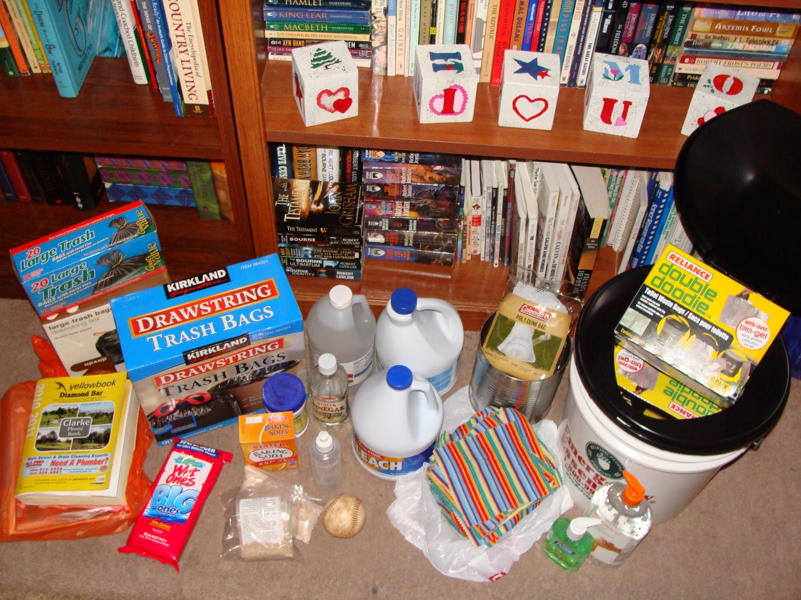 Emergency Preparedness: So, Here's To You Martha: sanitation kit