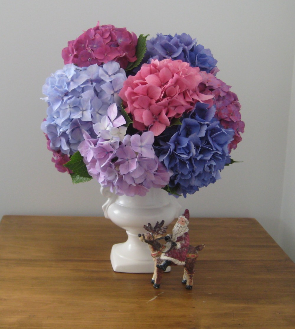 Liberty Biberty: 2010