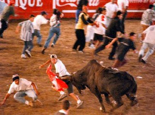 TICO TOURS ABBY: TOROS A LA TICA!!! PARTE DE LAS FIESTAS DE NAVIDAD EN ...