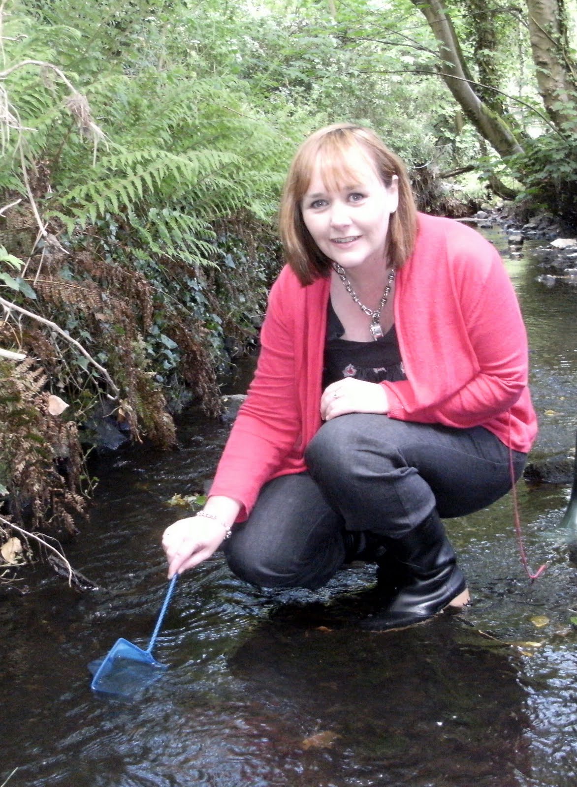 ADSEA Strangford Lough Sea Trout Project: Sea trout fry released in ...
