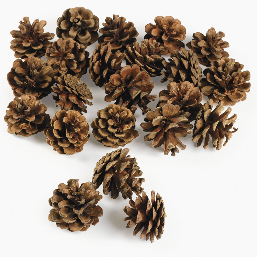 the paper nest co.: I'M DREAMING OF A GREEN CHRISTMAS...