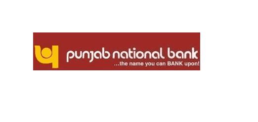 Business Views & Reviews: PNB’s net profit grows nearly 8% in Q3FY11