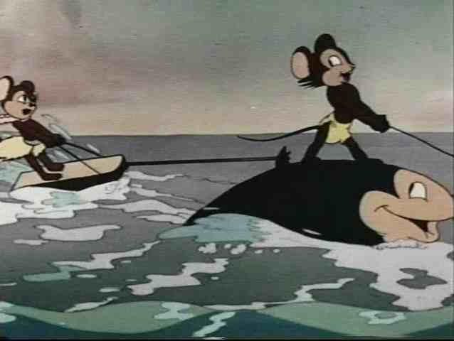 Cartoons of 1939: 142 A Wicky Wacky Romance