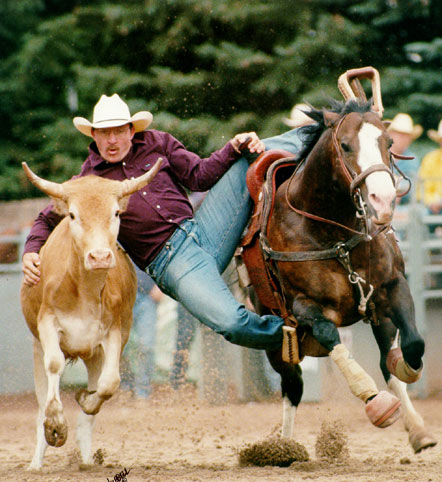 STRANGE BUT TRUE...AMAZING FACTS!: The Most Famous Cows