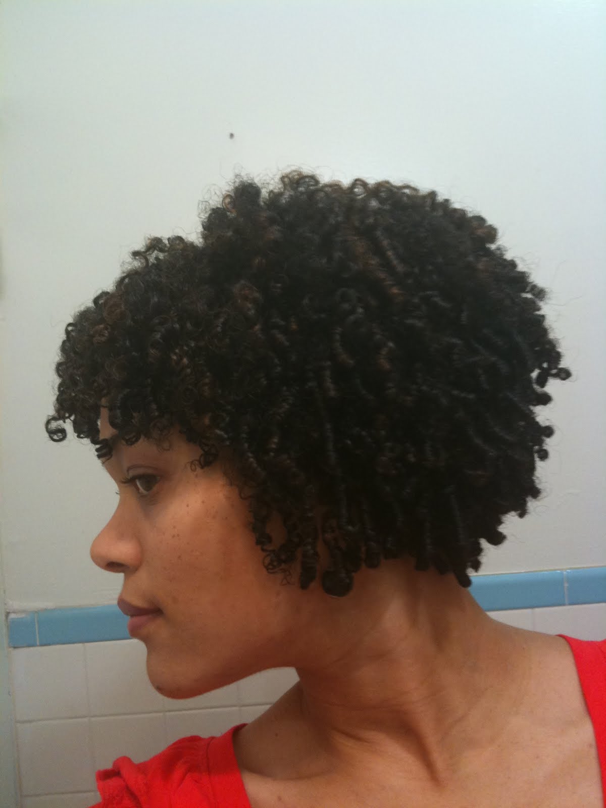 It's Just Hair: More on shingling with Ecostyler- vid-n-results