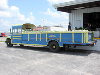 Ron's Travels: How many watermelons can an old bus haul?