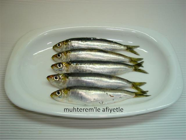 Muhterem'le Afiyetle: SARDALYA PANE