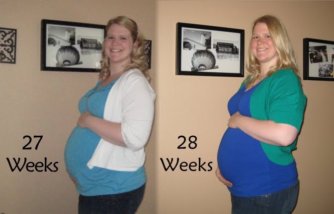 The Bubblelush: Growth Scan - 28.5 weeks