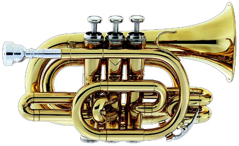 KINGDOM OF ONG DYNASTY: Different types of trumpet!